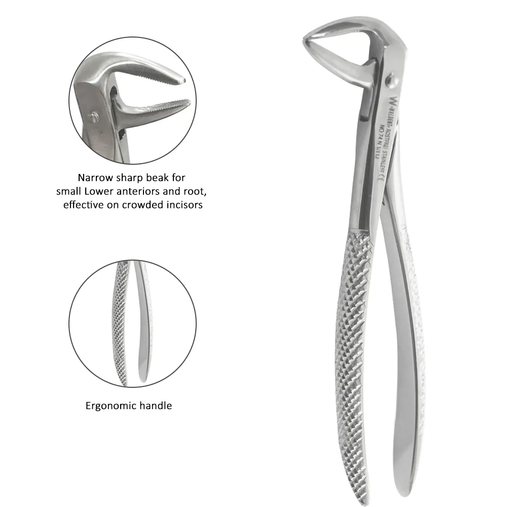 Lower Anterior Forceps – Wizedent Enterprise